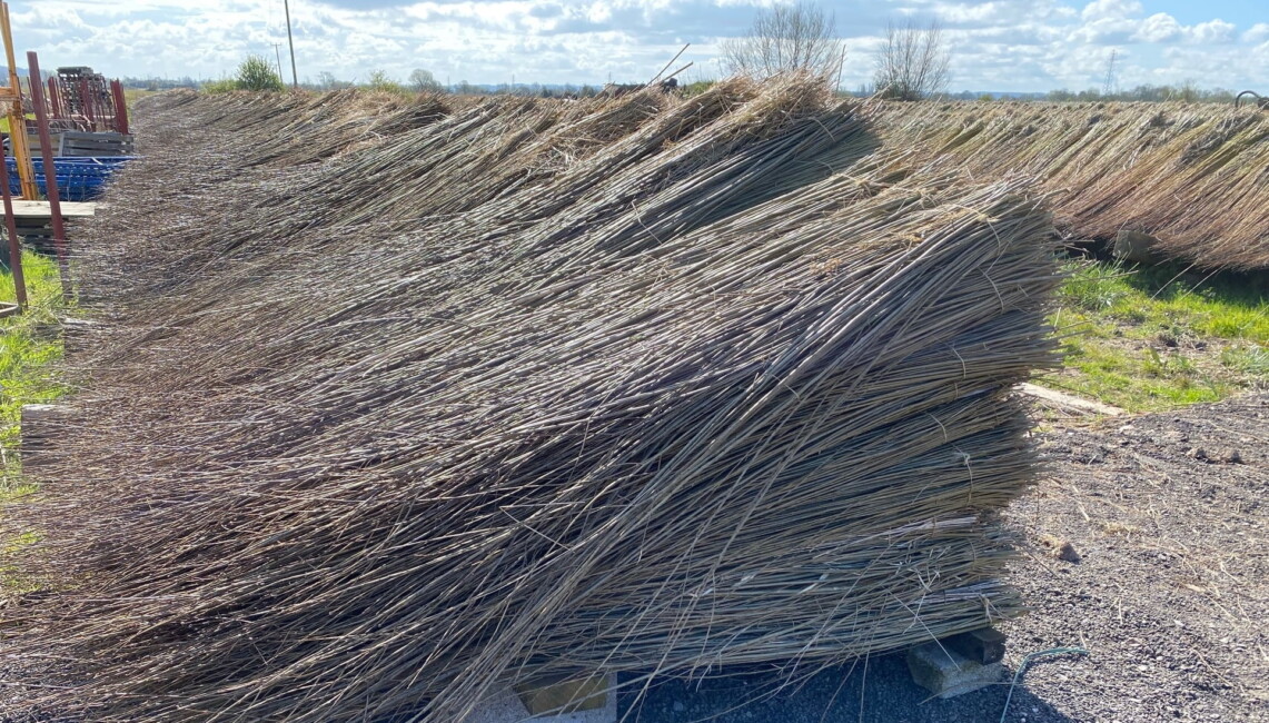 6 Tips on 'How to store fresh cut willow' | Musgrove Willows