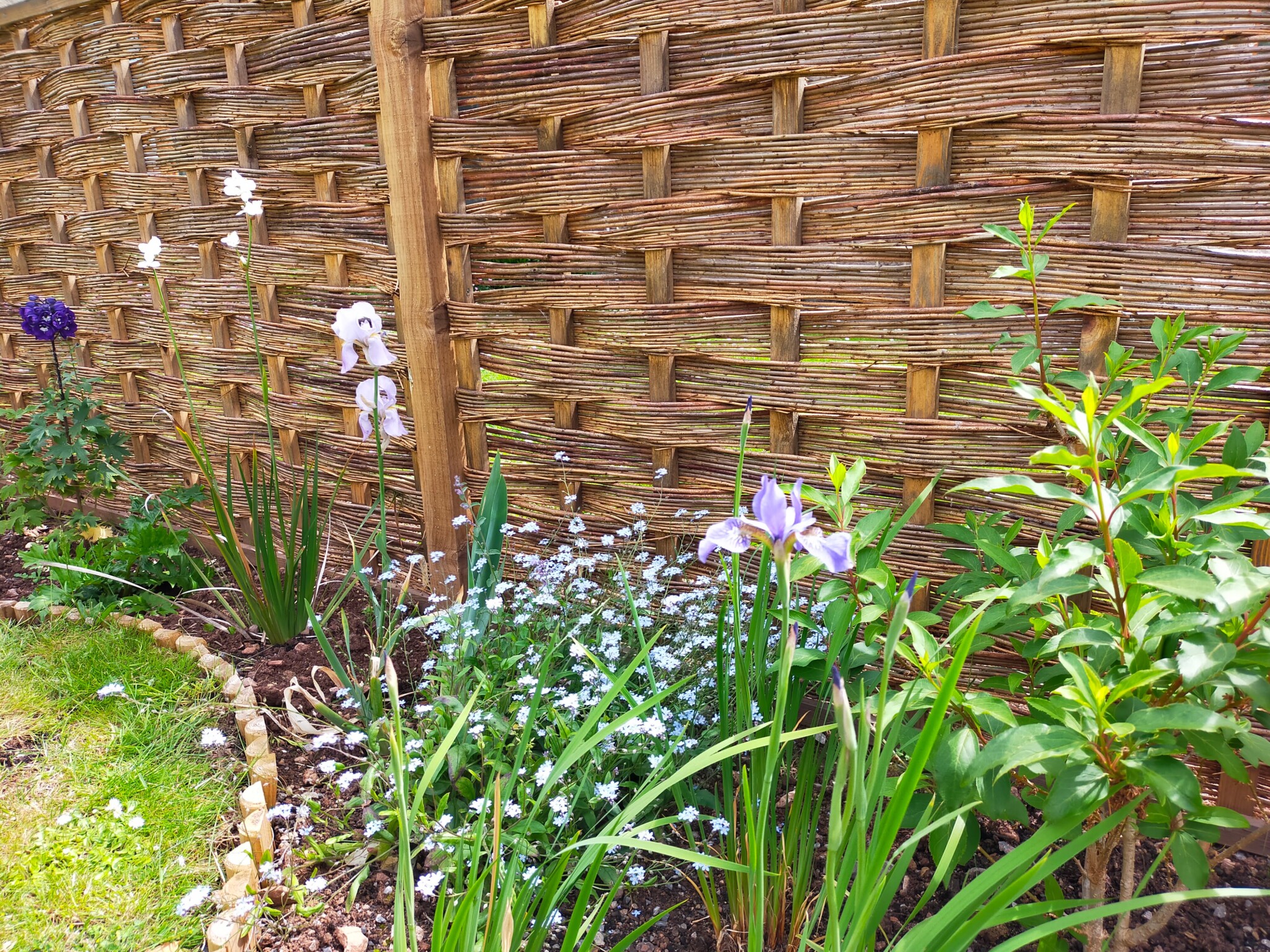 How to Treat Willow Fencing | Preserving Your Woven Hurdles