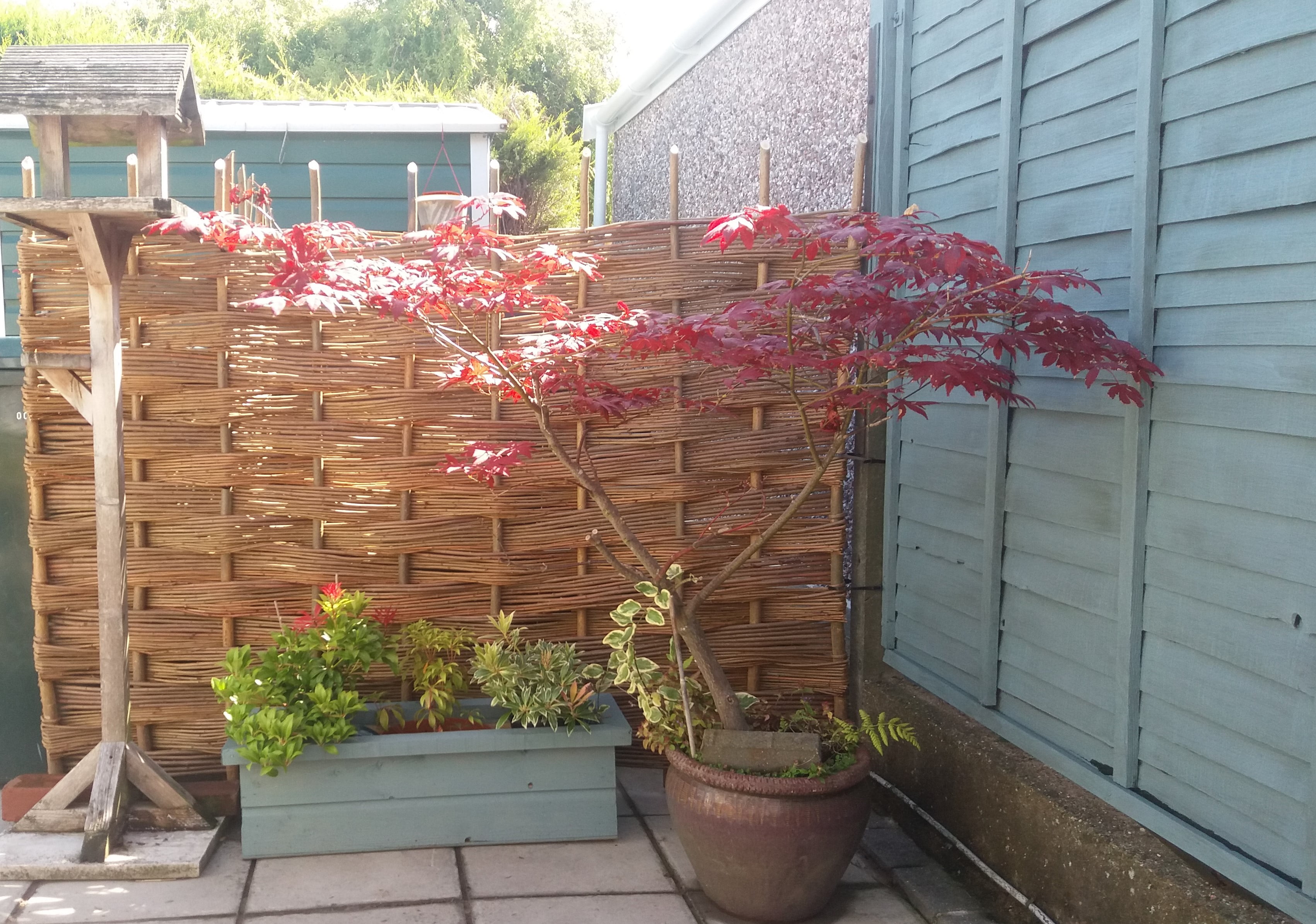 A Beginner’s Guide to Willow Fencing | Musgrove Willows