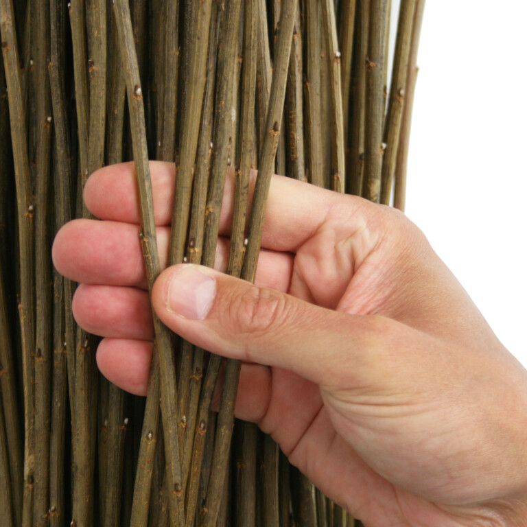 Choose the right willow for the job | Musgrove Willows