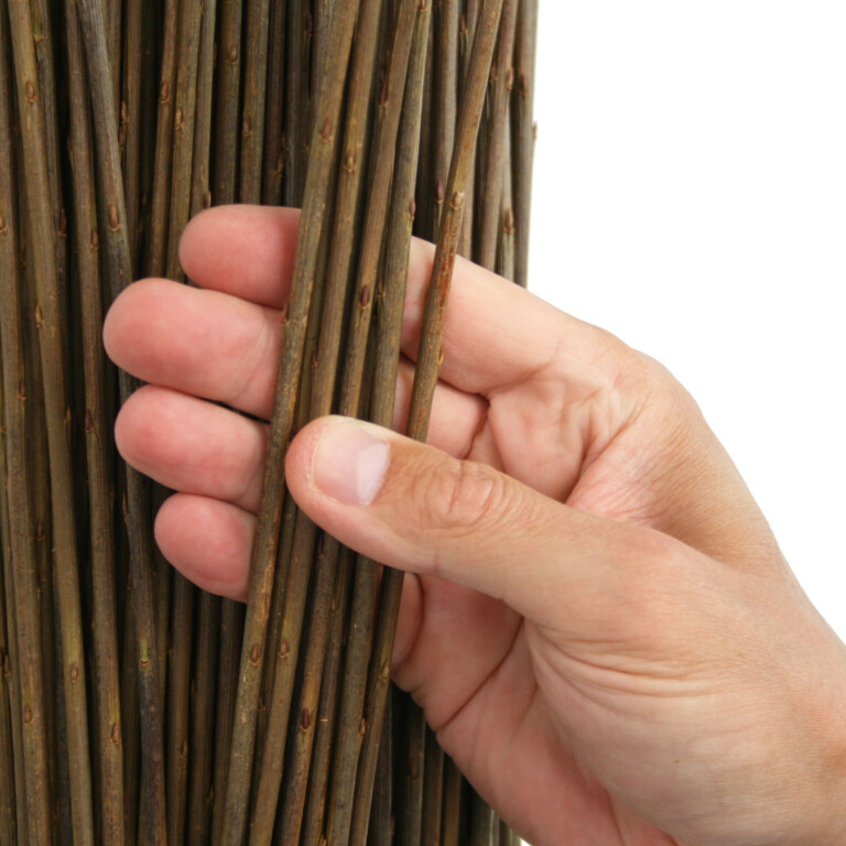 Choose the right willow for the job | Musgrove Willows