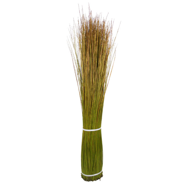 Dicky Meadows Fresh Cut Willow | Musgrove Willows