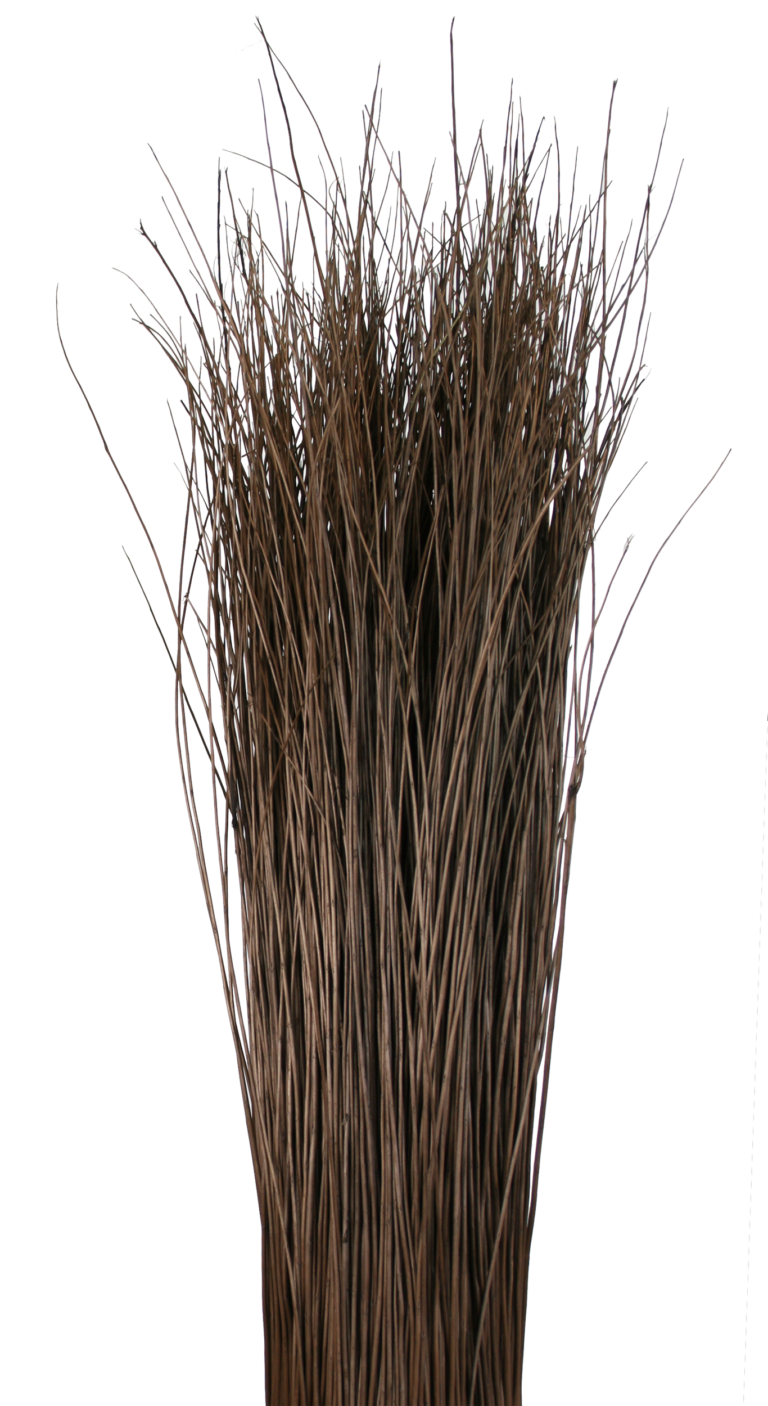 Steamed buff willow tops | Musgrove Willows, Somerset