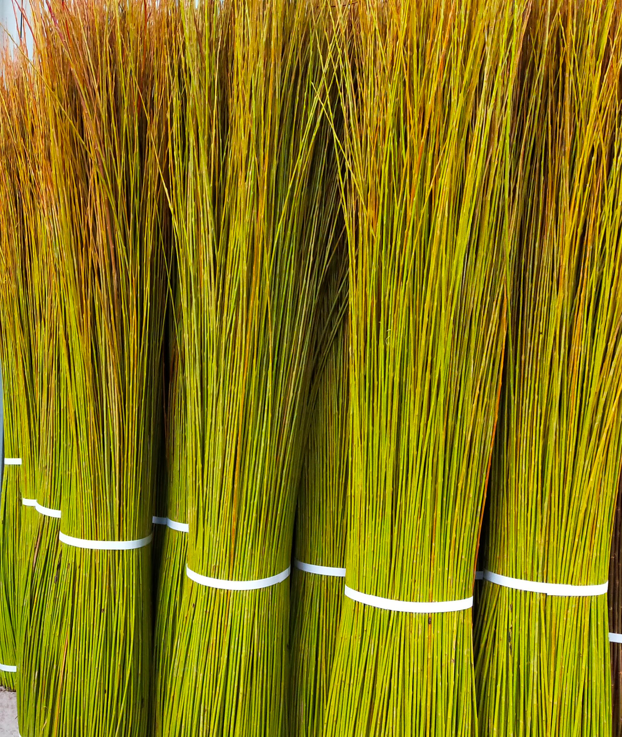 Dicky Meadows Fresh Cut Willow | Musgrove Willows