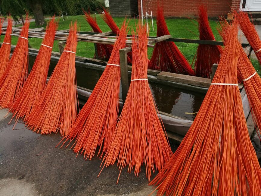 Orange willow rods | Musgrove Willows, Somerset