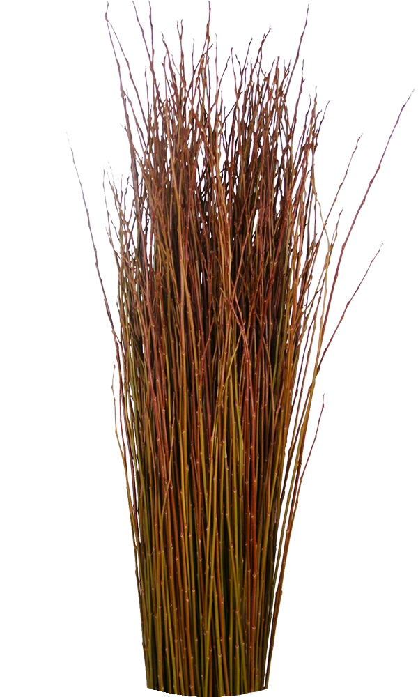 Fresh cut willow bolts and bundle weights | Musgrove Willows