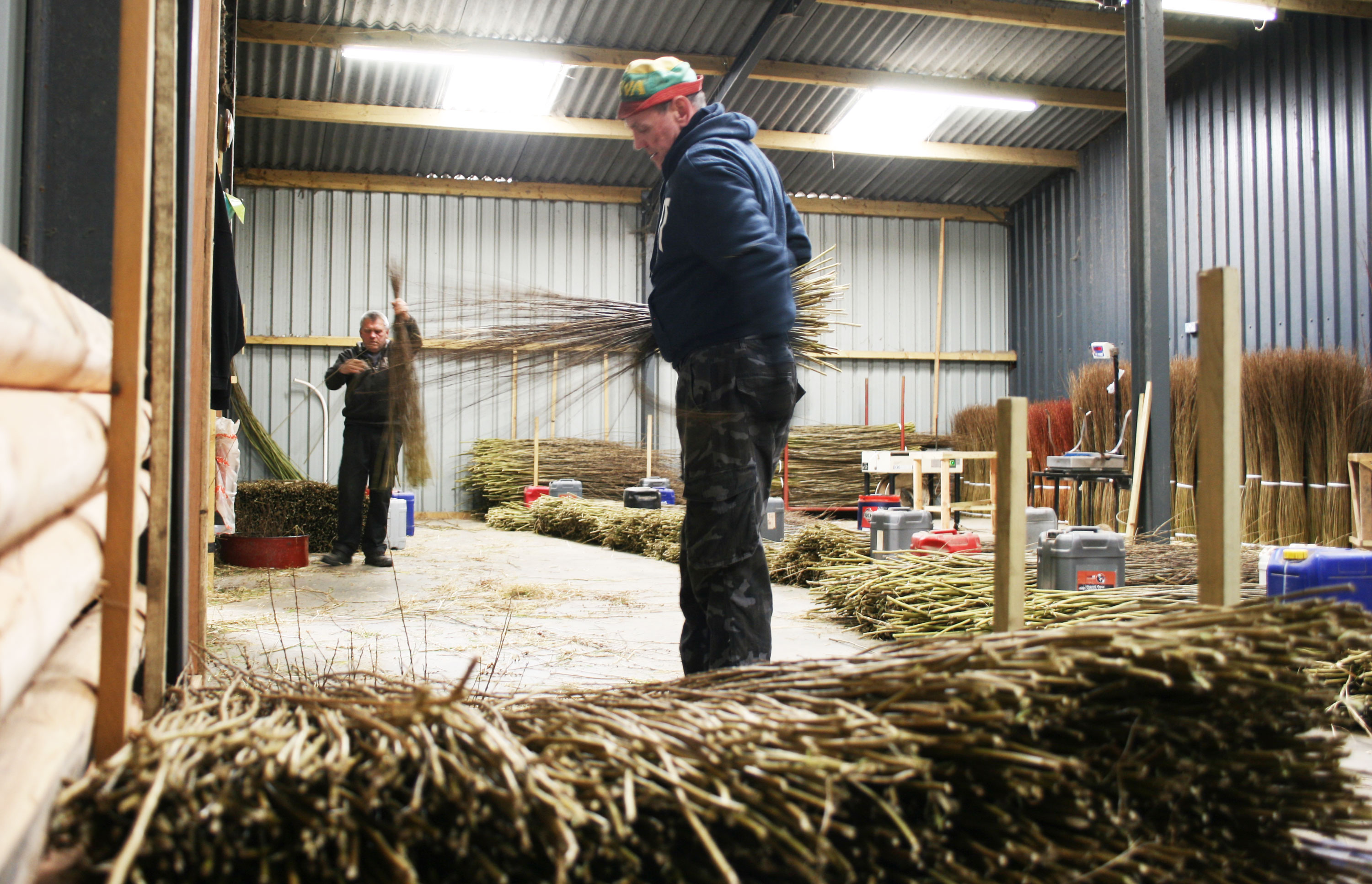 A guide to willow seasonality - Musgrove Willows