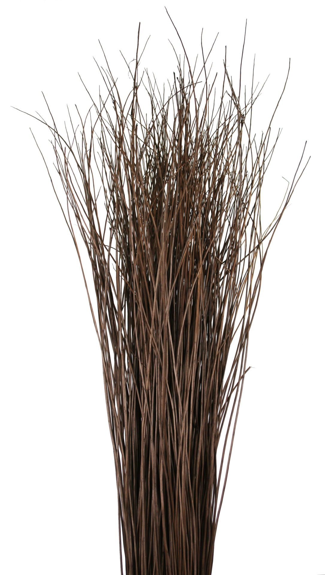 Buff Noir willow | Soaking times & tips from Musgrove Willows