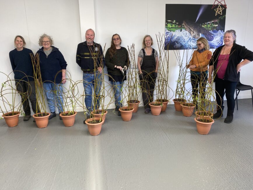 Living Willow Structures for the garden - Musgrove Willows