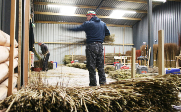 Is there a difference between wicker and willow? - Musgrove Willows