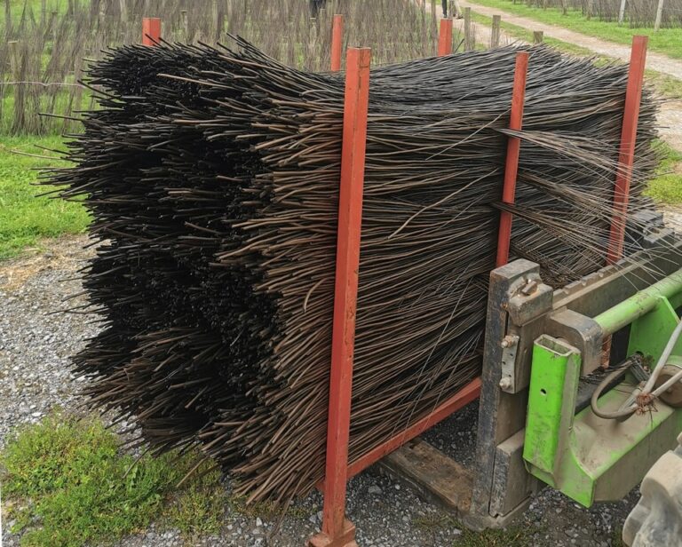 Buff Noir willow bundles and bolts - Musgrove Willows