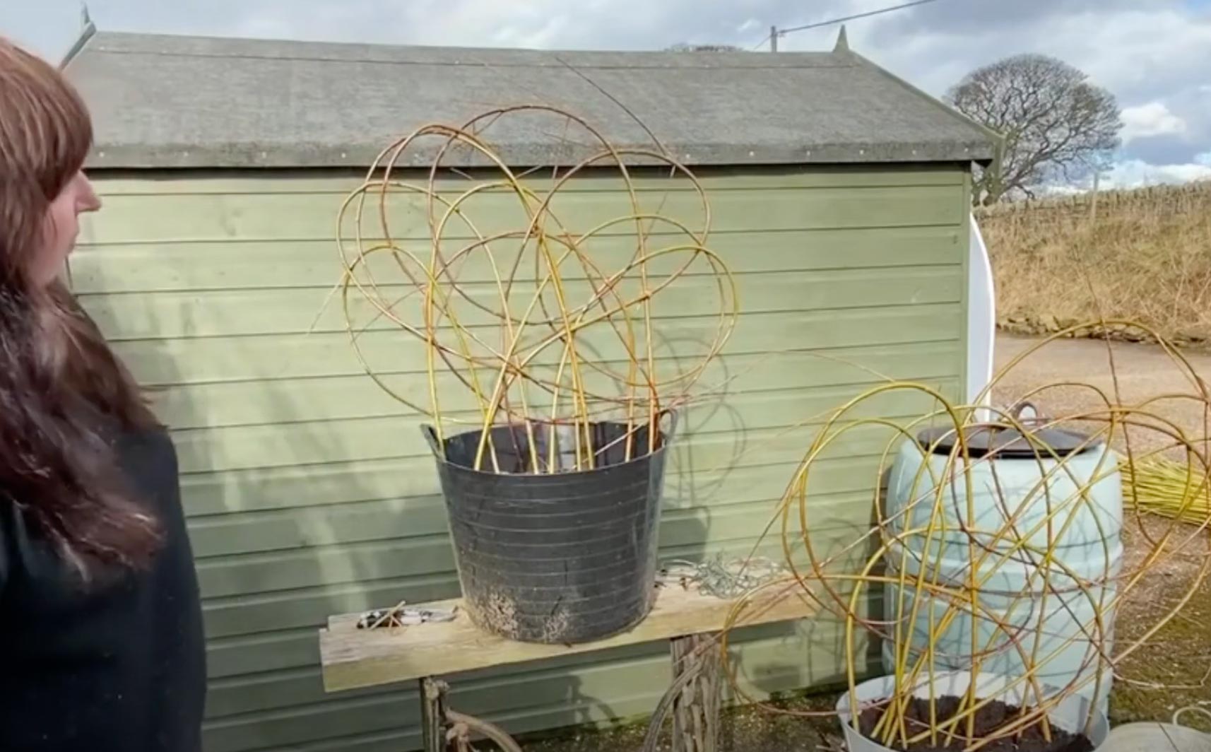 How to Make a Living Willow Cloud Screen | Step-by-Step