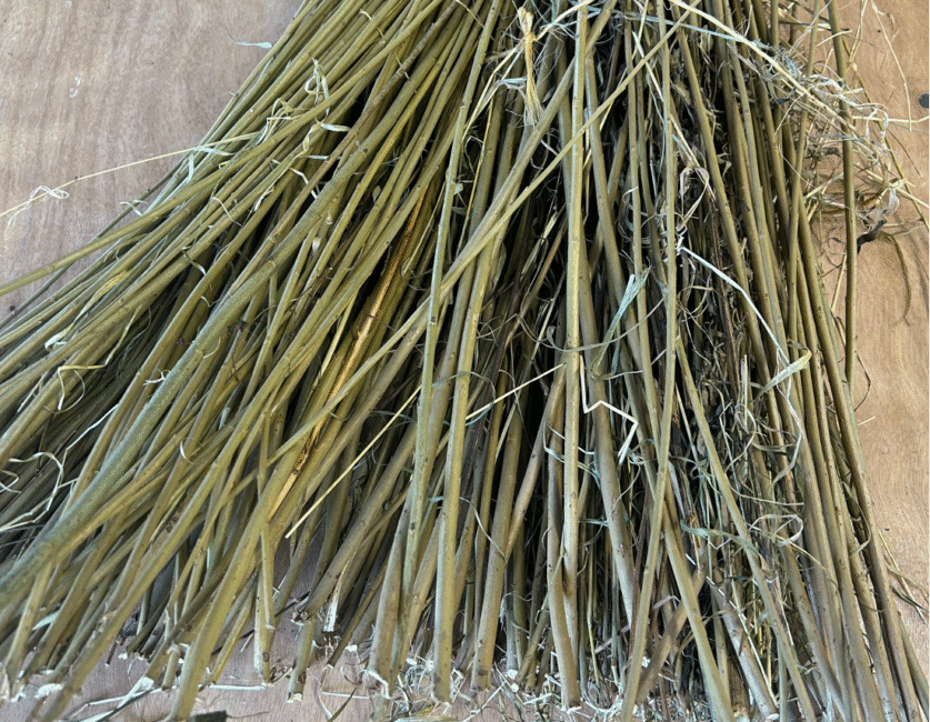 How to Store Dried Willow: Expert Storage Tips
