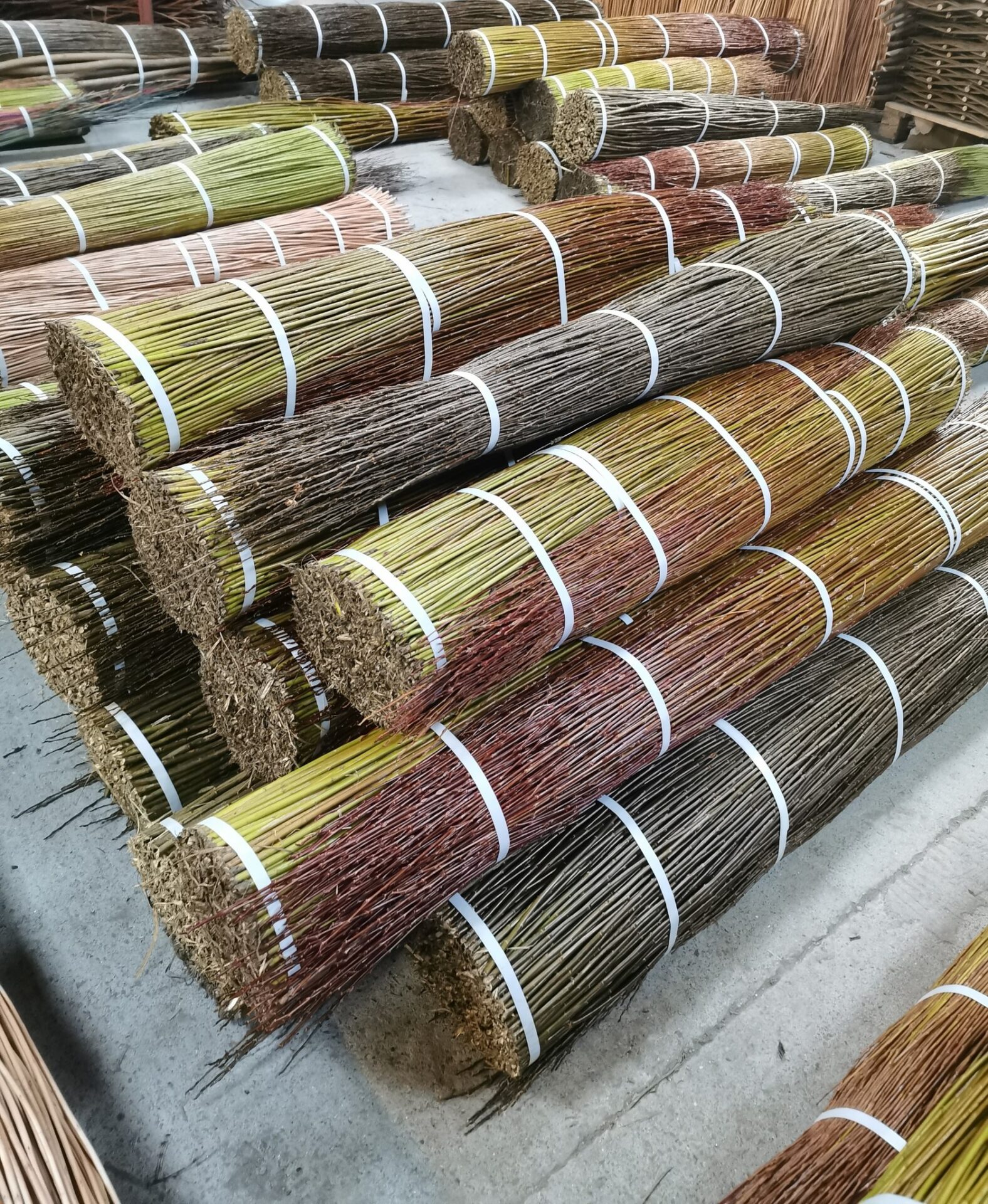 What can I use green/fresh-cut willow for?
